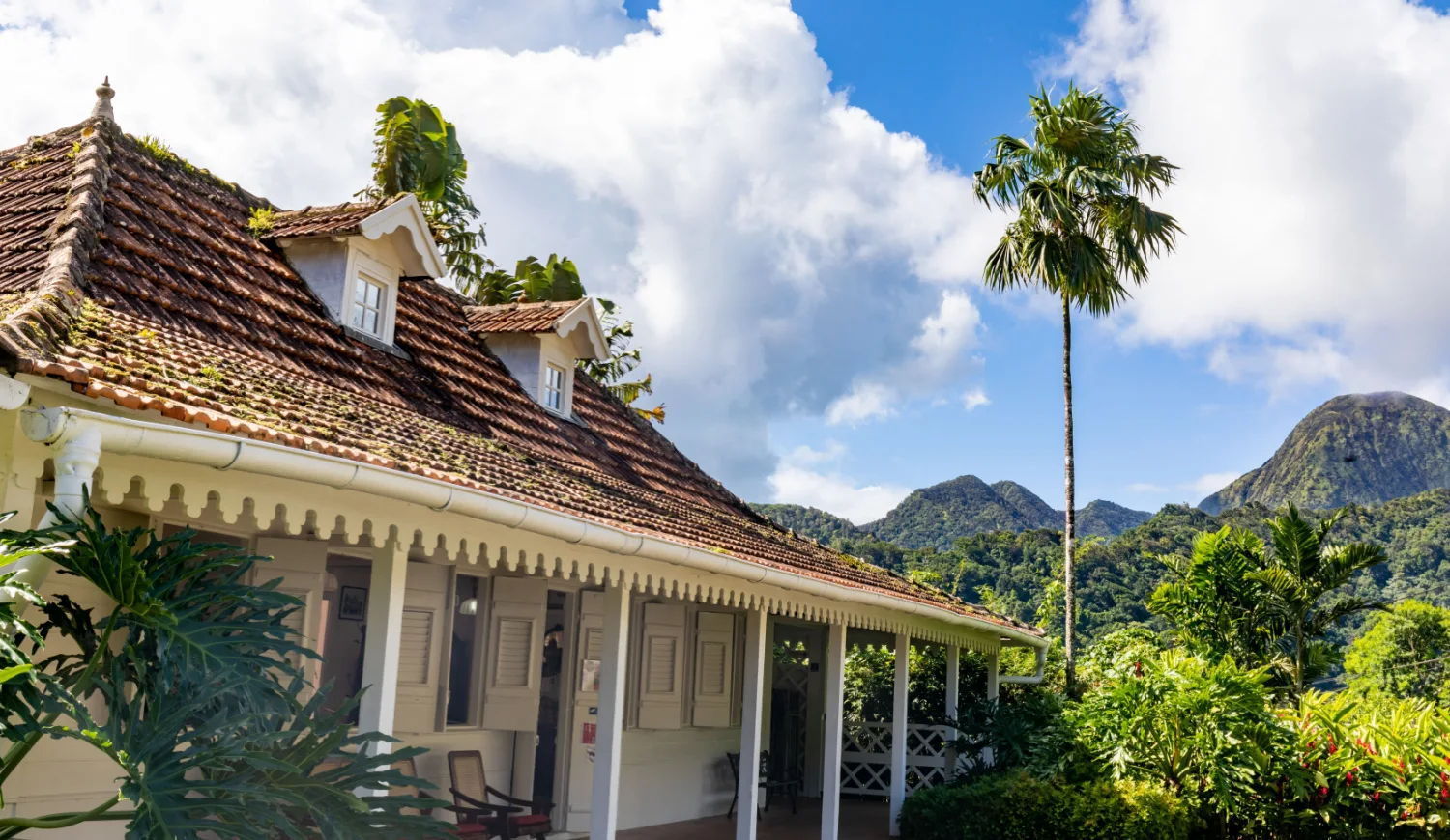 Les 4 exemples de maisons créoles